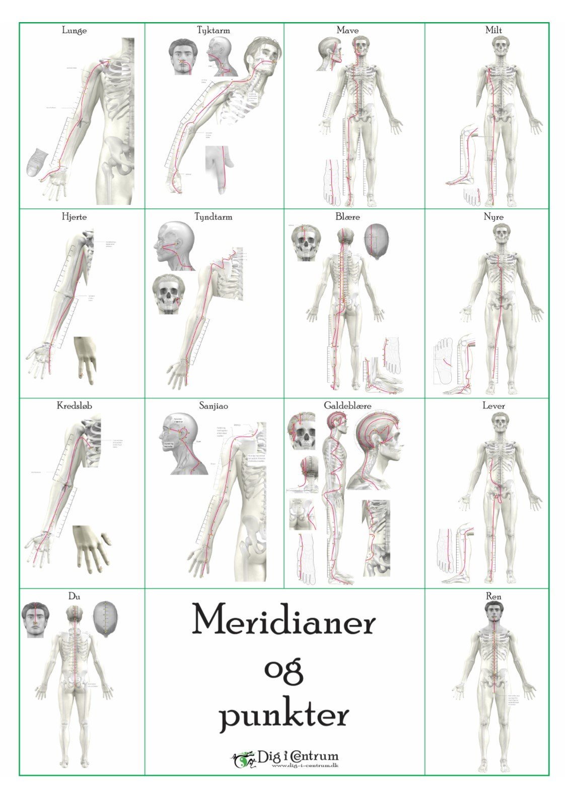 Meridianer og Punkter